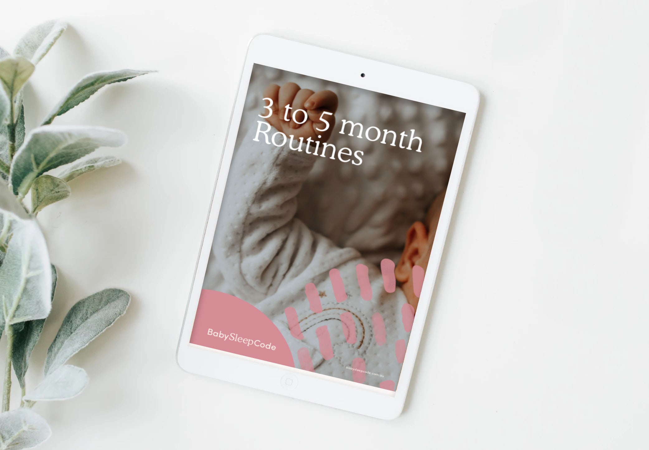 3 - 5 Month Old Routines | Baby Nap And Feeding Guide