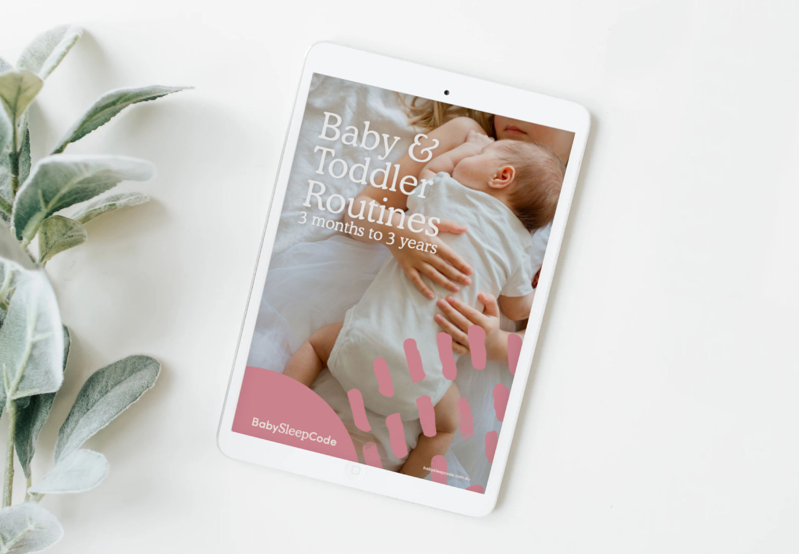 Certified Baby Sleep Consultants Toddler Baby Sleep Guides